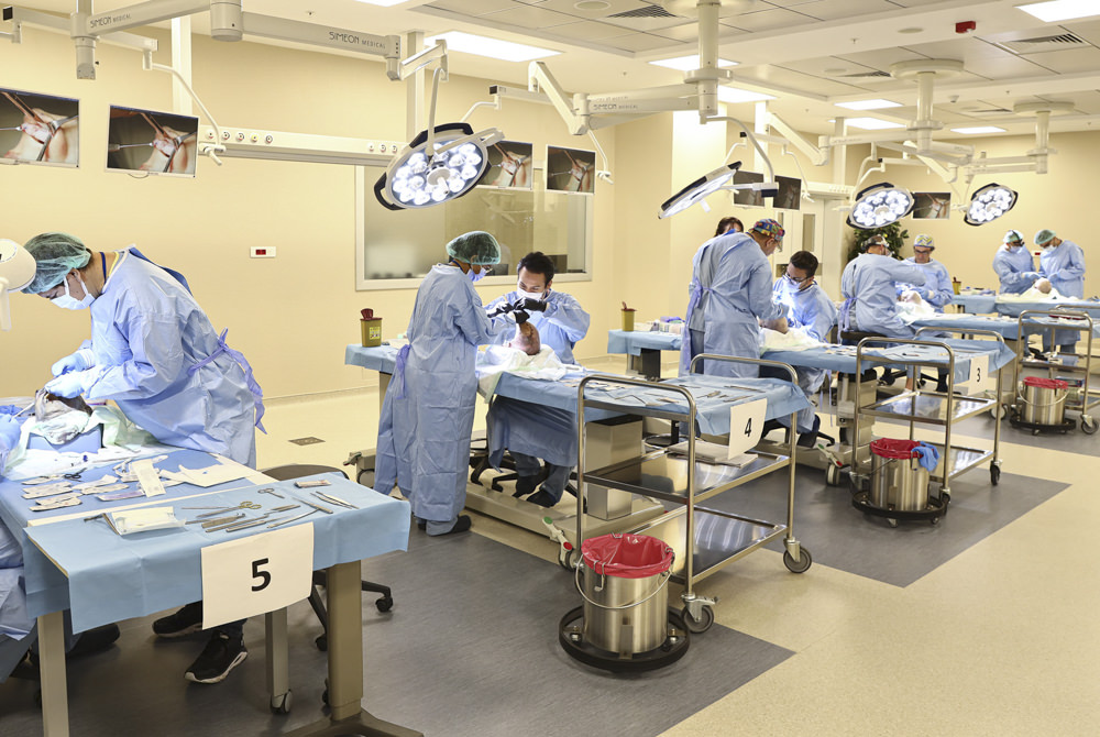 Rhinoplasty Cadaver Course